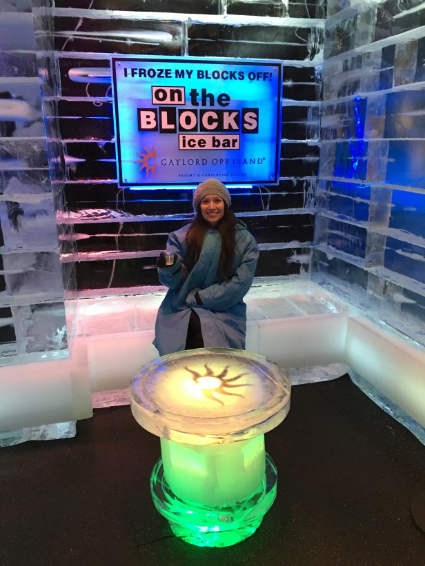 Chilling at an Ice Bar – 52 Things 52 Weeks